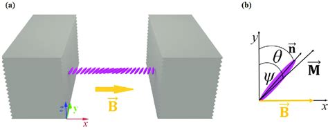 Colour Online A Schematic Drawing Of The Reorientation Process Of Download Scientific