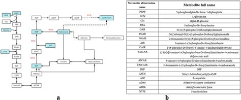 The Putative Bio Synthetic Pathway Of Cordycepin A The Cordycepin