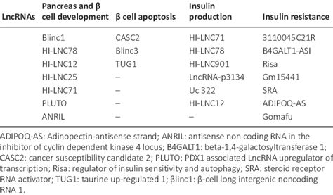 Long Non Coding Rna Lncrna Involved In Diabetes Complications Most Download Scientific