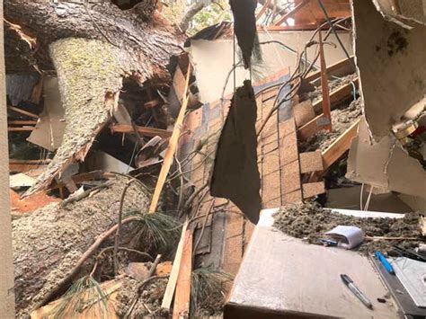 Fallen Tree Smashes House Traps Man In Recliner East PDX News Fallen Tree Smashes House Traps Man In Recliner East PDX News