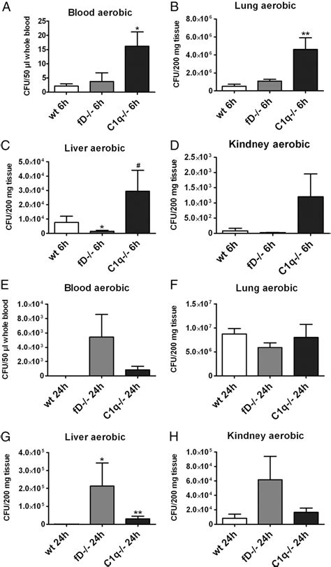 Figure 1 From Response During Sepsis Activation Pathway For The Innate Host Alternative And
