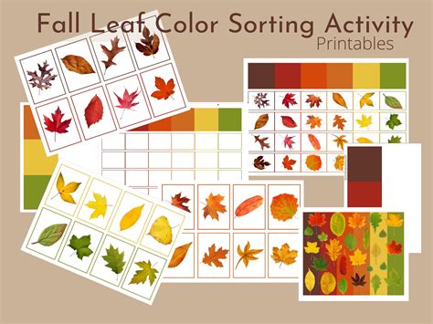 Fall Leaf Color Sorting Color Matching Card Sort Velcro Activity Shape Sorting Reggio