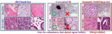 논문 리뷰 Are We Ready For Out Of Distribution Detection In Digital