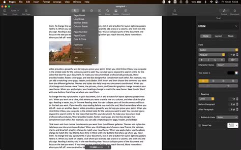 Apple Pages 和 Libreoffice Writer：比較最佳的免費文字處理選項 最好的家
