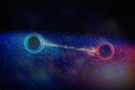 Quantum Discovery A New Species Revealed In The United States The Eye