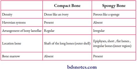Difference Between Spongy And Compact Bones Bds Notes