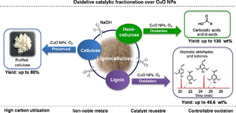 Oxidative Catalytic Fractionation Strategy For Lignocellulose Conversion Download Scientific