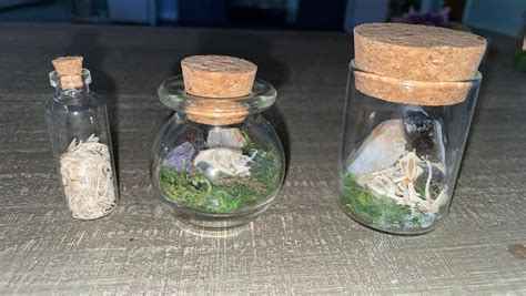 Created My Own Oddity Displays Roddities