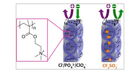 Insights Into The Role Of Counterions On Polyelectrolyte Modified