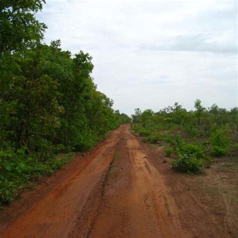 Burkina Faso Forest Cover According To Fao Forest Resources Assessment Download Scientific