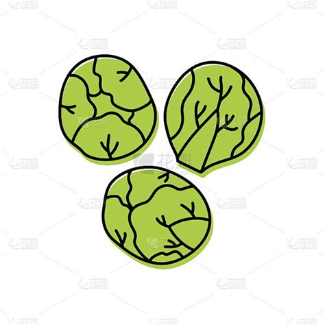 球芽甘蓝蔬菜草图颜色简单的图标手绘矢量涂鸦插图