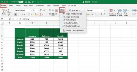 How To Change Text Direction In Excel Sheet Leveller