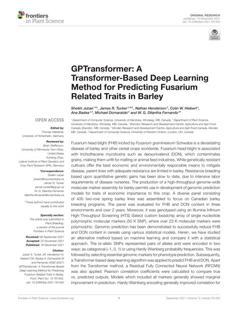 Pdf Gptransformer A Transformer Based Deep Learning Method For
