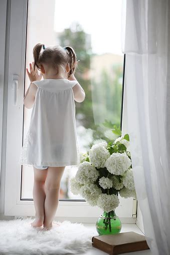한 어린 소녀가 창턱에 앉아 있습니다 창가에 꽃병에 꽃다발과 꽃을 스니핑 소녀 창가에 흰색 꽃다발과 흰색 드레스에 작은 공주 가족에 대한 스톡 사진 및 기타 이미지 Istock