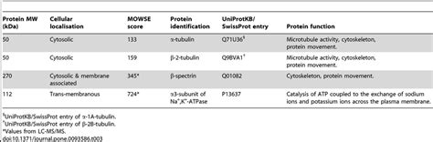 Mass Spectrometry Identification Of Differentially Expressed Proteins Download Table
