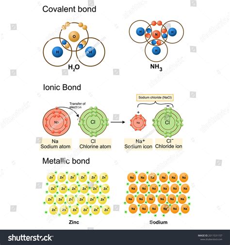 Isolated Chemical Bonding On White Backgroundvector Stock Vector