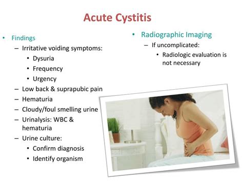 Ppt Bladder Infection Powerpoint Presentation Id3107593