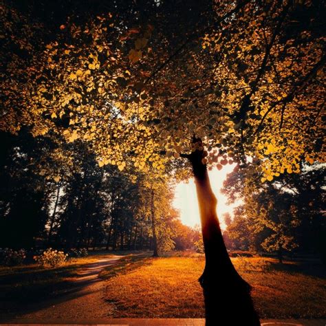 Ijlal Ahmad On Linkedin Photography Hobby Fotografia Photooftheday