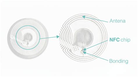 Nfc Tags Everything You Need To Know