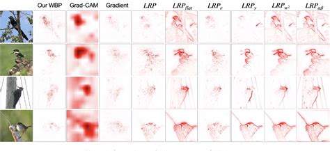 Figure 1 From Proactive Pseudo Intervention Causally Informed Contrastive Learning For