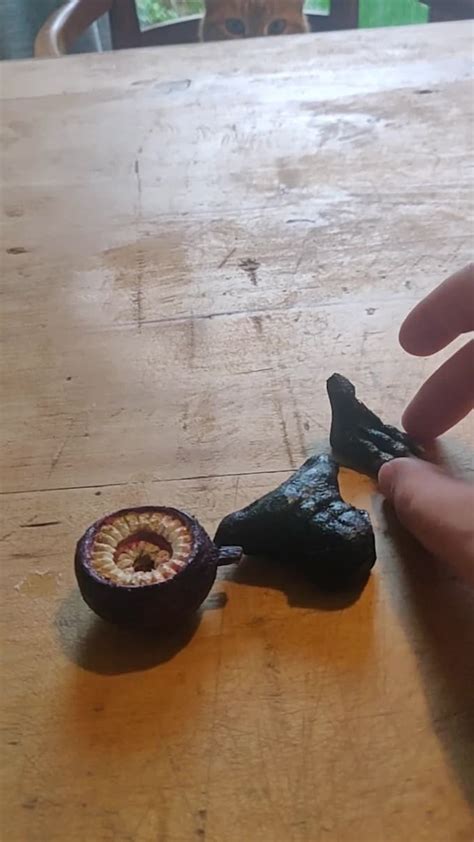 Cnc Carve A 3d Design Out Of Wood And Ship It To You By Isalillyth Fiverr Cnc Carve A 3d Design Out Of Wood And Ship It To You By Isalillyth Fiverr