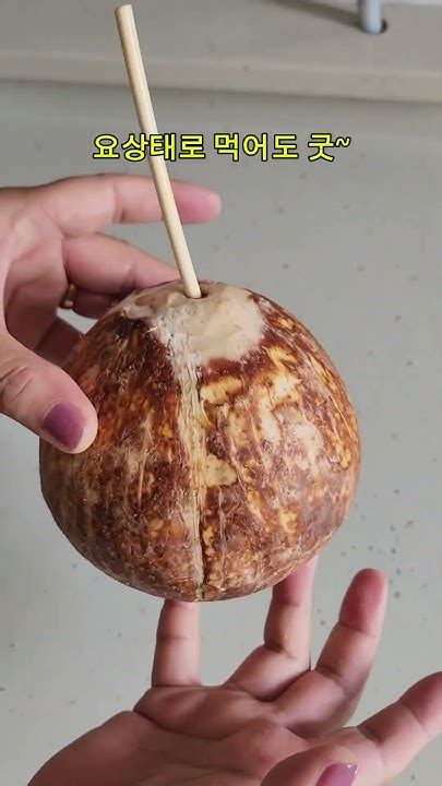 코코넛 샀어요이렇게먹어요코코넛코코넛워터코코넛밀크코코넛먹기코코넛화분만들기 Youtube