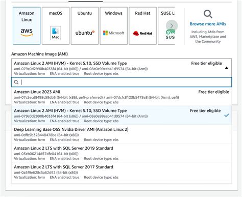 利用 Aws 部署 Arex：加速研发效能的自动化回归测试实践丨arex On Aws Automated Regression