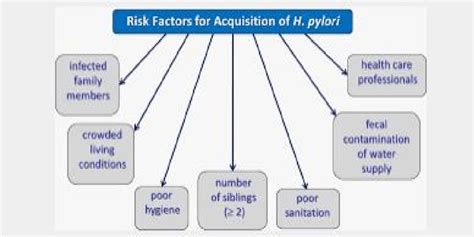 Risk Factors For H Pylori Download Scientific Diagram