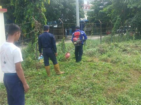 လှိုင်သာယာမြို့နယ်၌ မိုးရာသီ သစ်ပင်များစိုက်ပျိုးရန်အတွက် ချုံနွယ်ပိတ