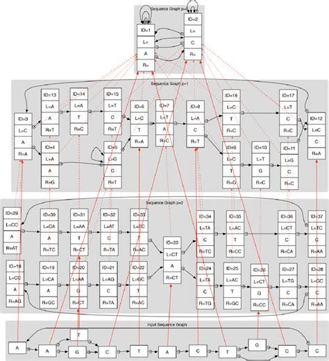 A Reference Genome Graph Hierarchy Most Collapsed Graph At The Top