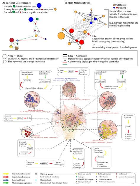 Flavors Of Network Analyses Used To Infer Bacteria Interaction