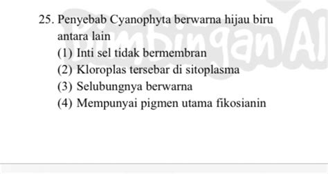 25 Penyebab Cyanophyta Berwarna Hijau Biru Studyx