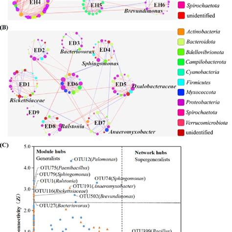 Overview Of Microbial Networks And Topological Roles A And B Graphs