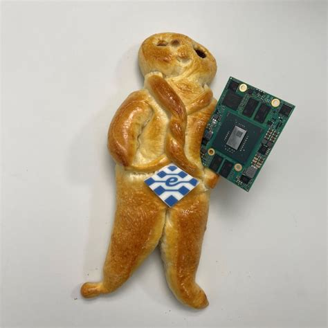 Enclustra On Linkedin Everythingfpga