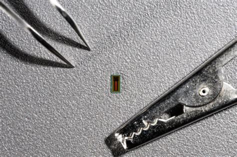 뉴럴링크의 두뇌 칩보다 더 작은 초소형 칩 개발됐다생각만으로 글 쓴다