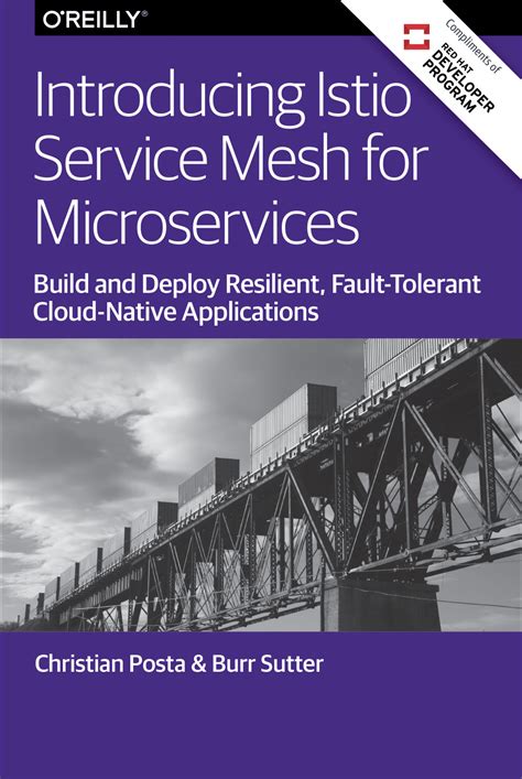 Introducing Istio Service Mesh For Microservices By Christian Posta Goodreads