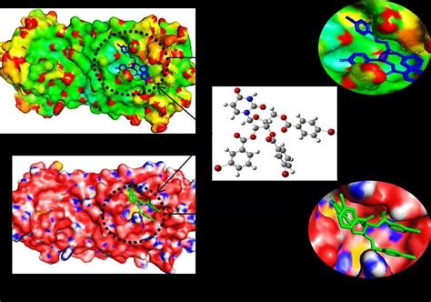 Docked Conformation Of Compound 7 At The Inhibition Binding Site Of Download Scientific