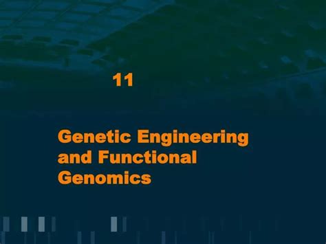 PPT Genetic Engineering And Functional Genomics PowerPoint Presentation ID 58427