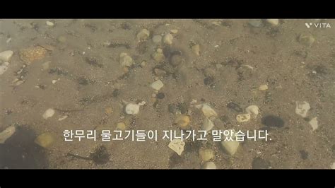 갈릴리호수에 베드로의 물고기가 산다 Youtube