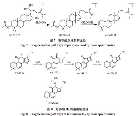 基于uplc Q Tof Ms的痹祺胶囊化学物质组及入血成分的研究 批号