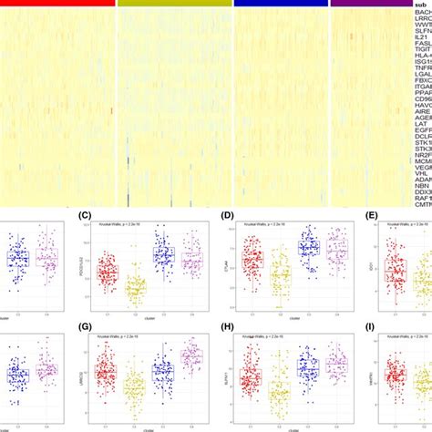 The Expression Difference Of Hla Genes In 4 Subtypes A Heatmap Shows