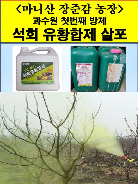 3월에 실시하는 석회 유황합제 살포 네이버 블로그