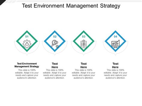 Test Environment Management Strategy Document At Layla Swallow Blog