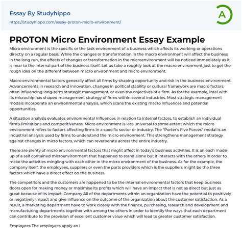 Proton Micro Environment Essay Example