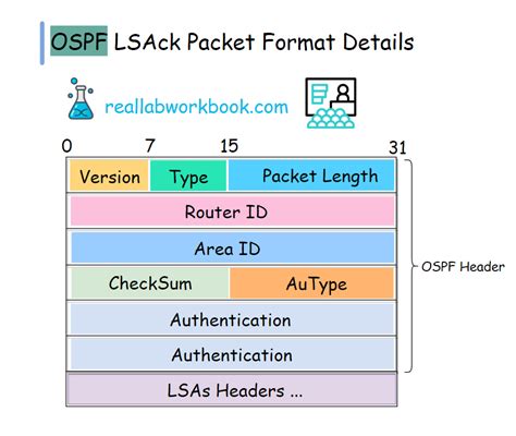 Ospf Link State Acknowledgment Packet By Rose White