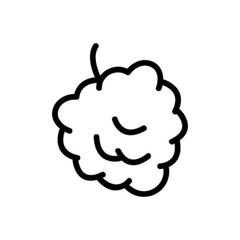 Raspberry Berry Icon Vector Isolated Contour Symbol Illustration