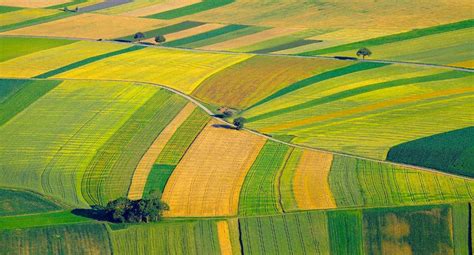 Hyperspectral Imaging For Sustainable More Productive Potato Crops Potato News Today