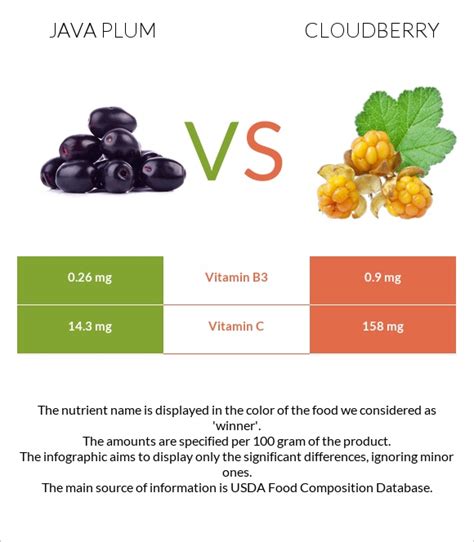 Java Plum Vs Cloudberry — In Depth Nutrition Comparison