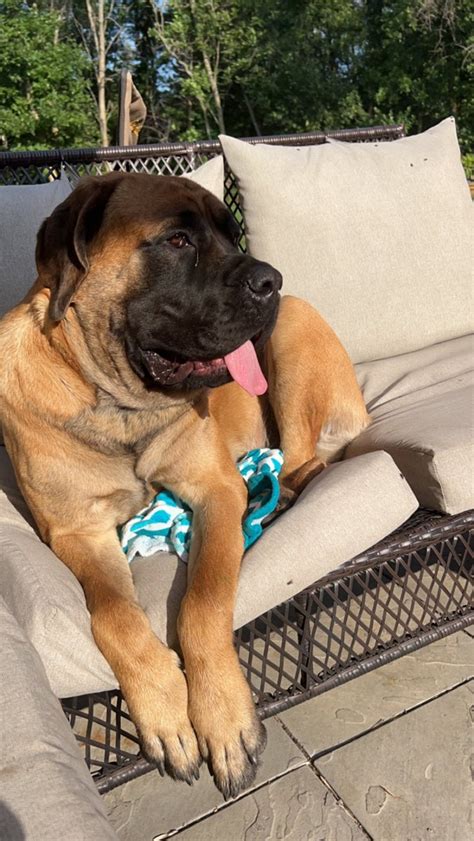 Blushing Dakota On Twitter Already At Steps For The Day And Its Only Am Its A