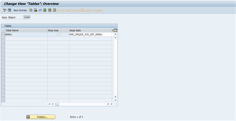 F SP SAP Tcode Position Control Table Fun Mod Transaction Code